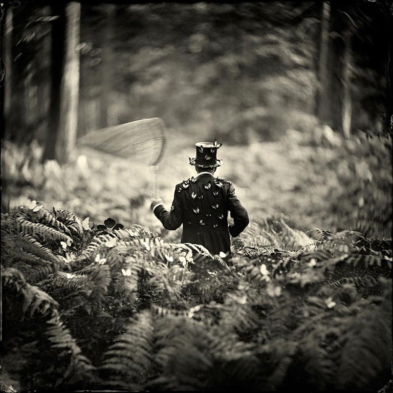 Alex Timmermans - Hide and Seek- For Sale at 1stDibs