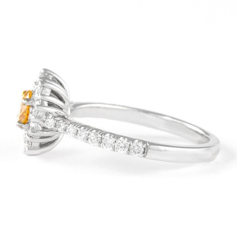 Alexander 0.90ctt Fancy Yellow Round Diamond with Halo Ring 18k Two ...