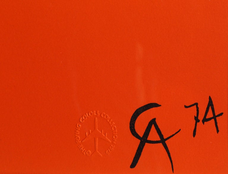 Alexander Calder - Flying Colors for Braniff Airlines, Abstract ...