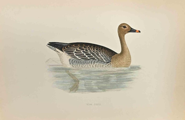 Alexander Francis Lydon - Bean Coose - Woodcut Print by Alexander ...