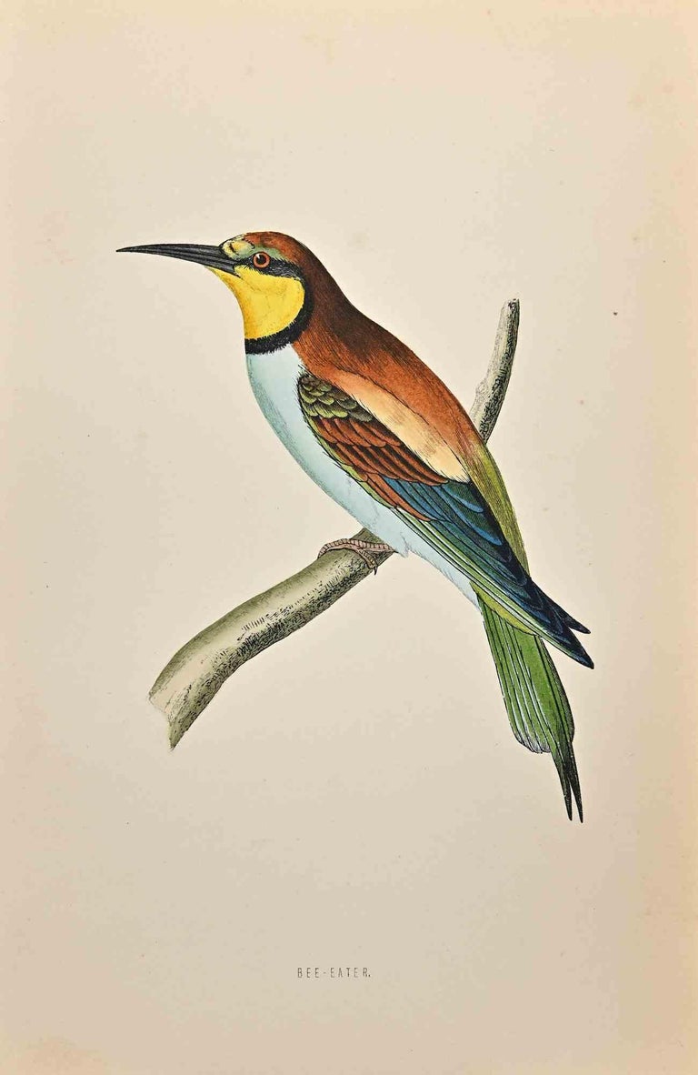 Alexander Francis Lydon - Bee-Eater - Woodcut Print by Alexander ...