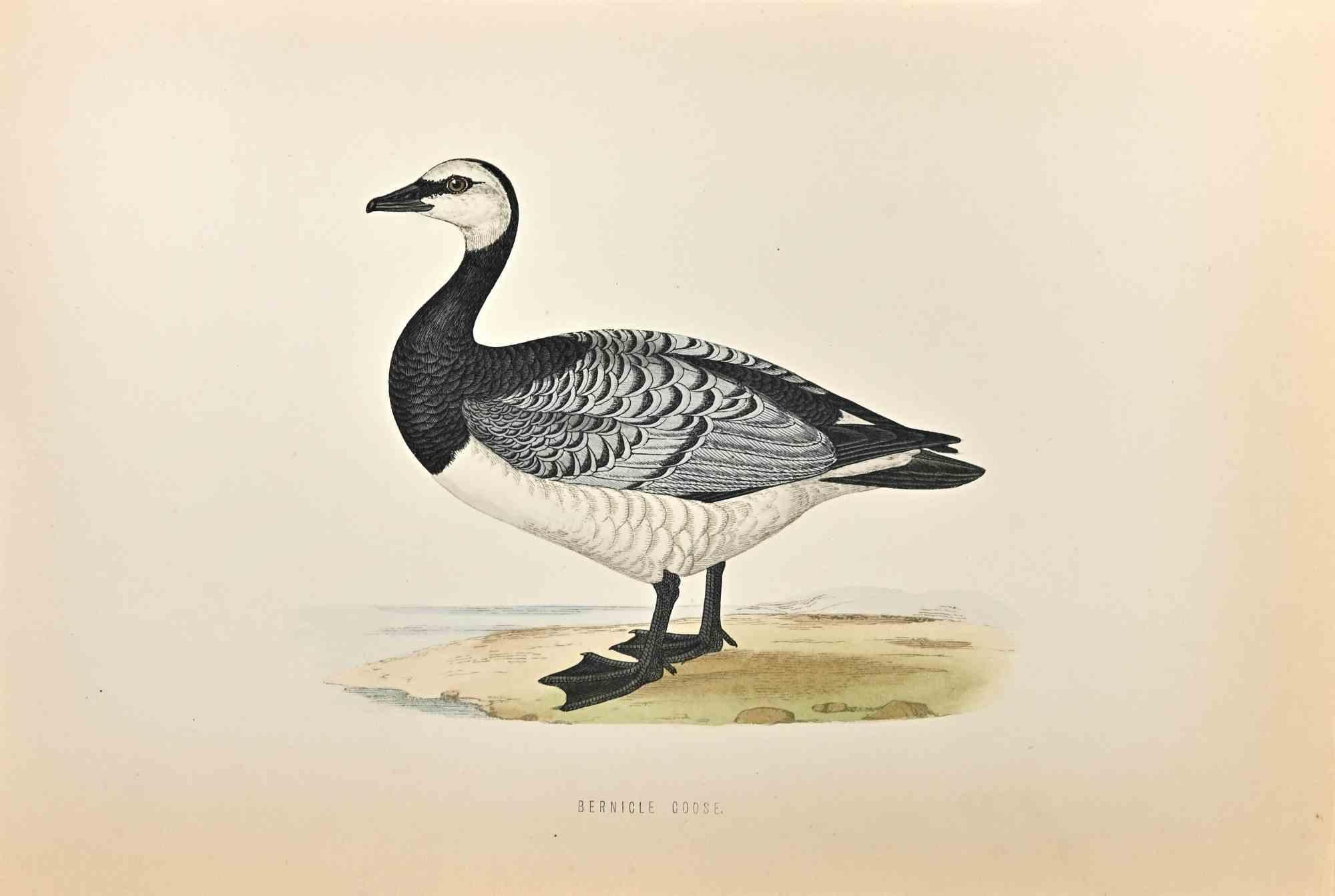 Alexander Francis Lydon - Grey-Lag Goose - Woodcut Print by Alexander ...
