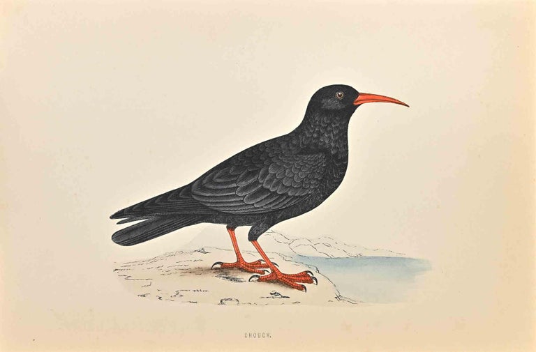Alexander Francis Lydon - Chough - Woodcut Print by Alexander Francis ...