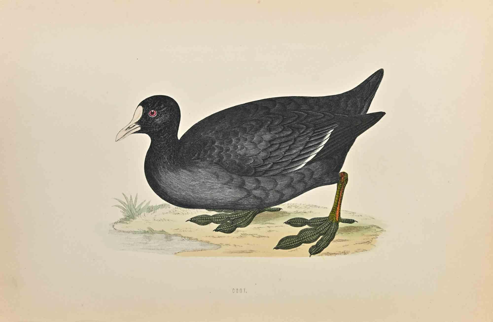 Alexander Francis Lydon - Peewit - Woodcut Print by Alexander Francis ...