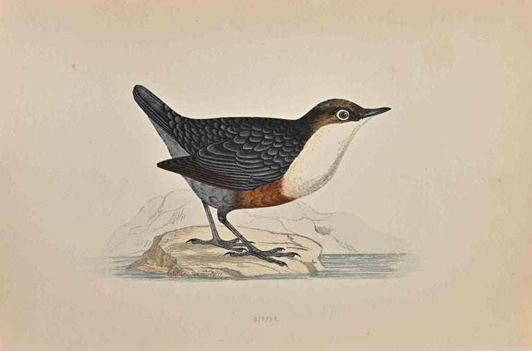 Alexander Francis Lydon - Dipper - Woodcut Print by Alexander Francis ...