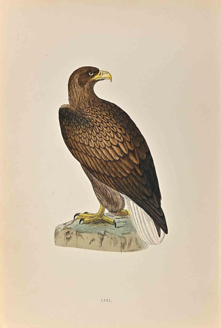 Alexander Francis Lydon - Erne - Woodcut Print by Alexander Francis ...