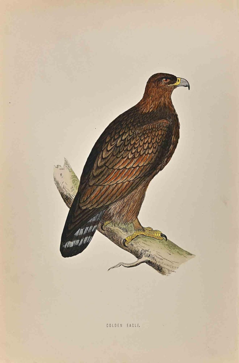 Alexander Francis Lydon - Golden Eagle - Woodcut Print by Alexander ...