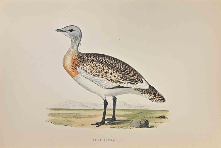Alexander Francis Lydon - Great Bustard - Woodcut Print by Alexander ...