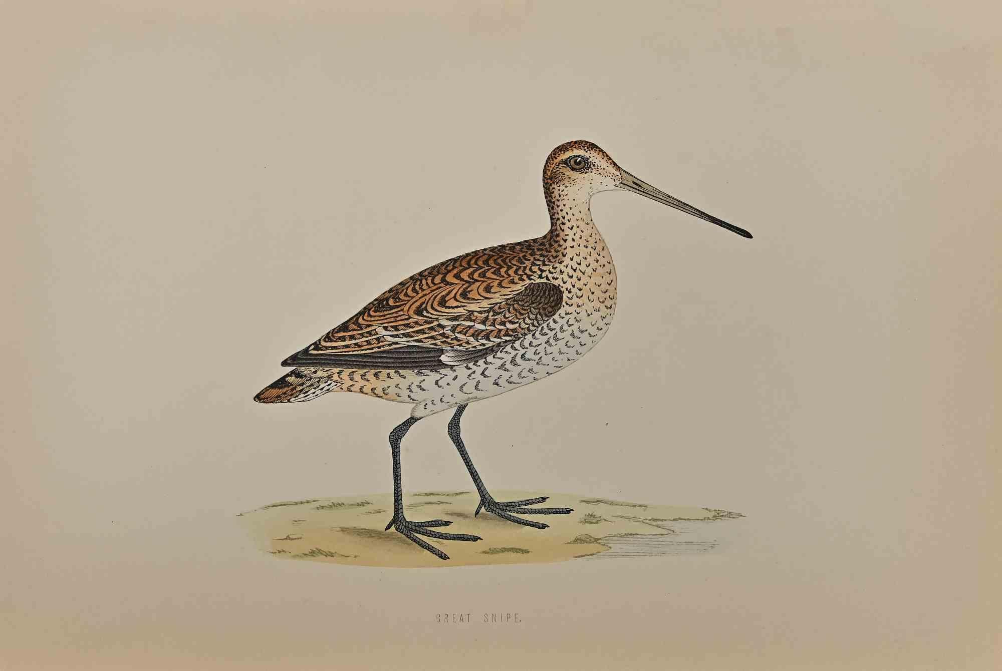 Alexander Francis Lydon - Snipe - Mixed Colored Woodcut Print - 1870 ...