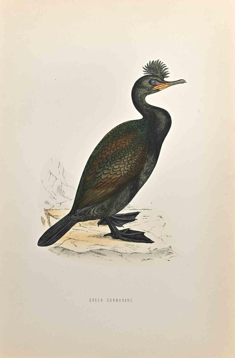 Alexander Francis Lydon - Green Cormorant - Woodcut Print by Alexander ...