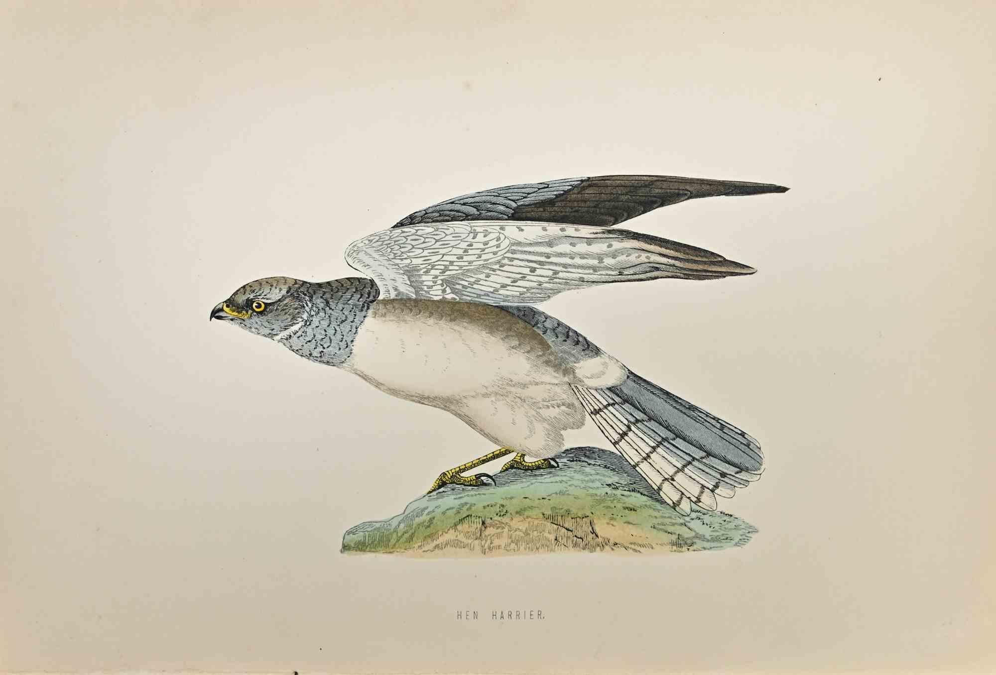 Alexander Francis Lydon - Peewit - Woodcut Print by Alexander Francis ...