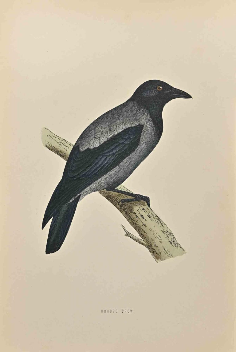 Alexander Francis Lydon - Hooded Crow - Woodcut Print by Alexander ...