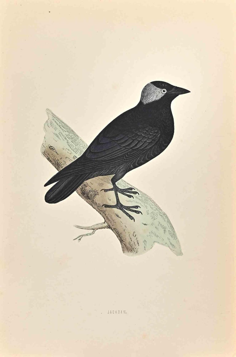 Alexander Francis Lydon - Jackdaw - Woodcut Print by Alexander Francis ...
