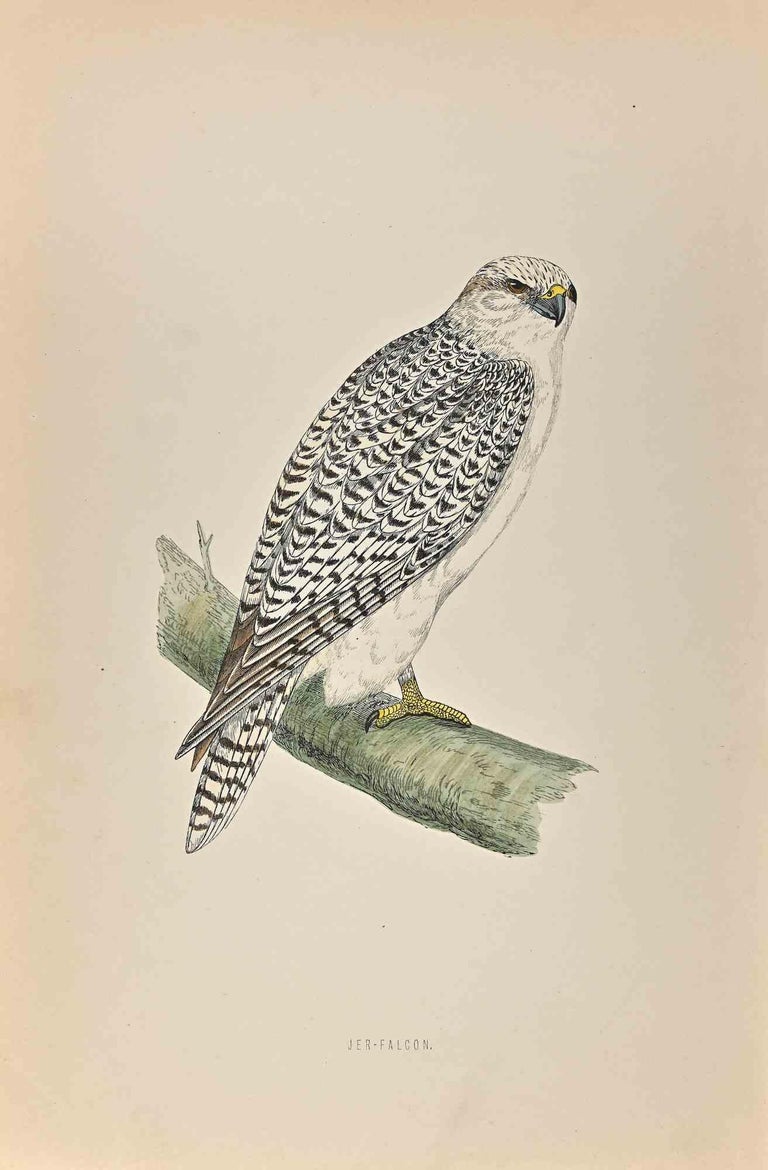 Alexander Francis Lydon - Jer-Falcon - Woodcut Print by Alexander ...
