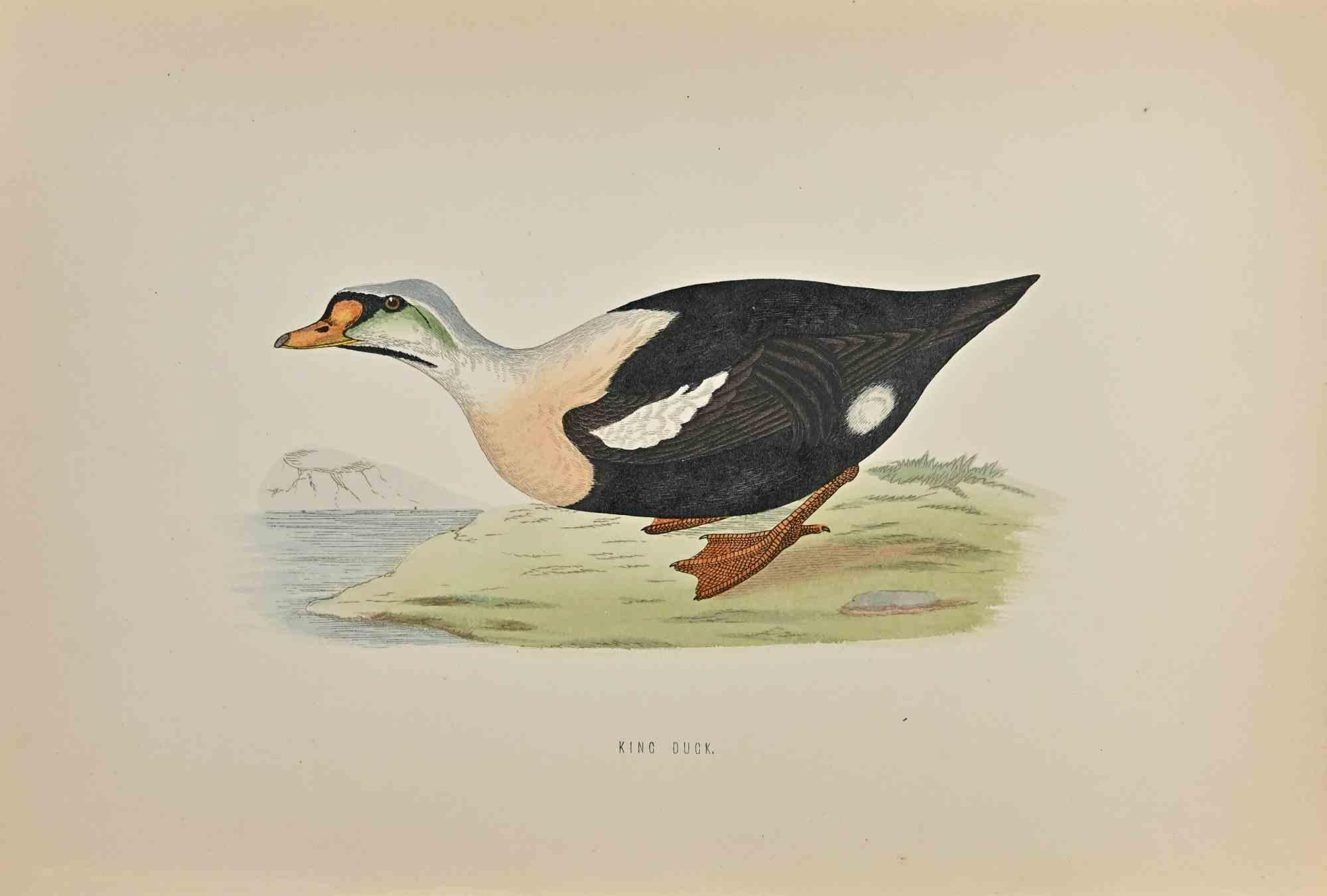 Alexander Francis Lydon - Tufted Duck - Woodcut Print by Alexander ...