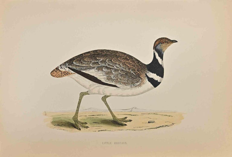 Alexander Francis Lydon - Little Bustard - Woodcut Print by Alexander ...