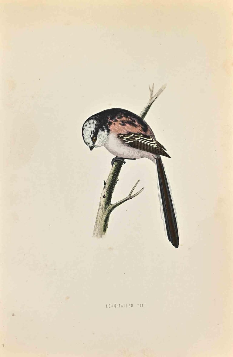 Alexander Francis Lydon - Long-Tailed Tit - Woodcut Print by Alexander ...