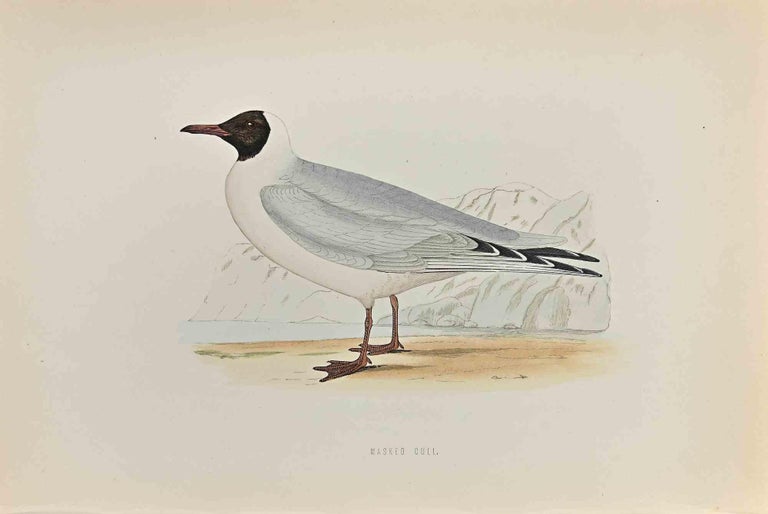Alexander Francis Lydon - Masked Gull - Woodcut Print by Alexander ...