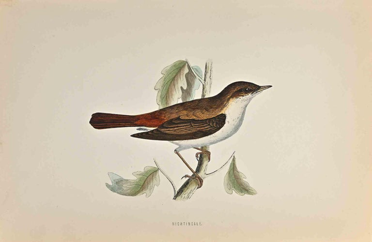 Alexander Francis Lydon - Nightingale - Woodcut Print by Alexander ...