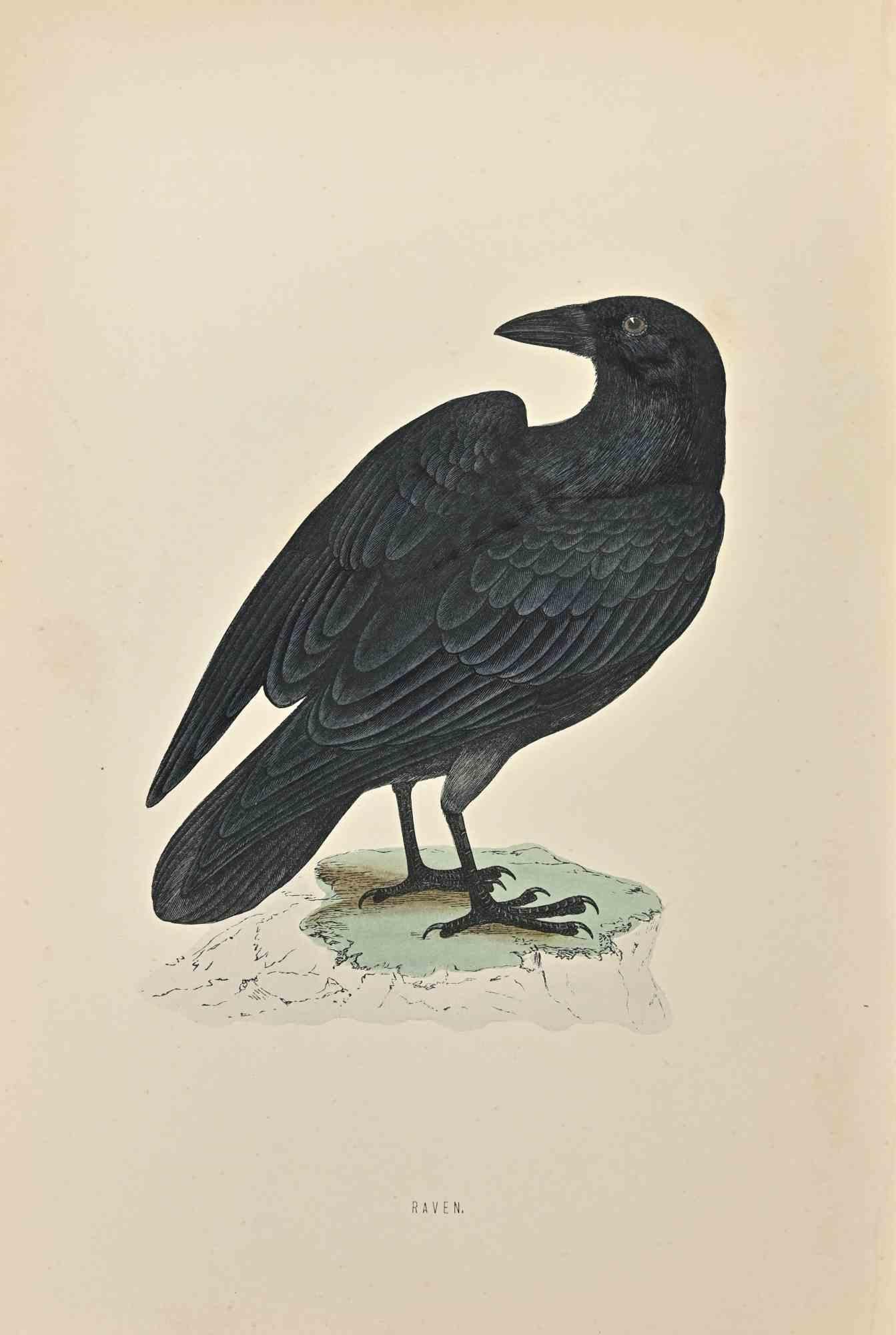 Alexander Francis Lydon - Three-Toed Woodpecker- Woodcut Print by ...