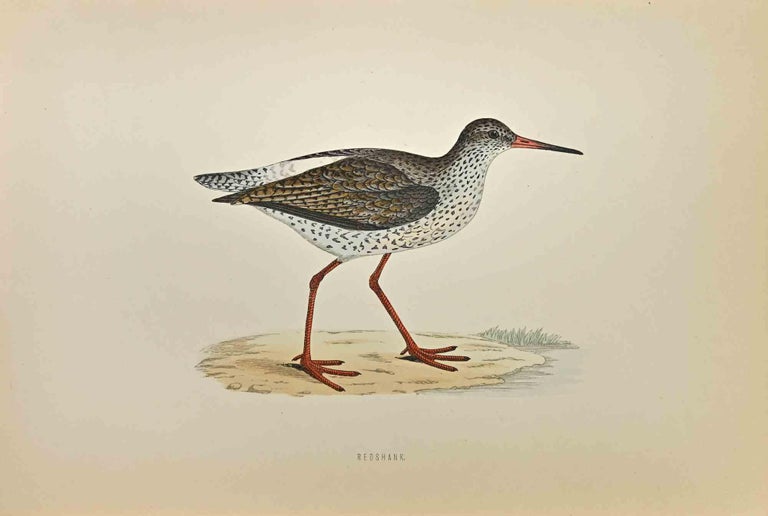 Alexander Francis Lydon - Redshank - Woodcut Print by Alexander Francis ...