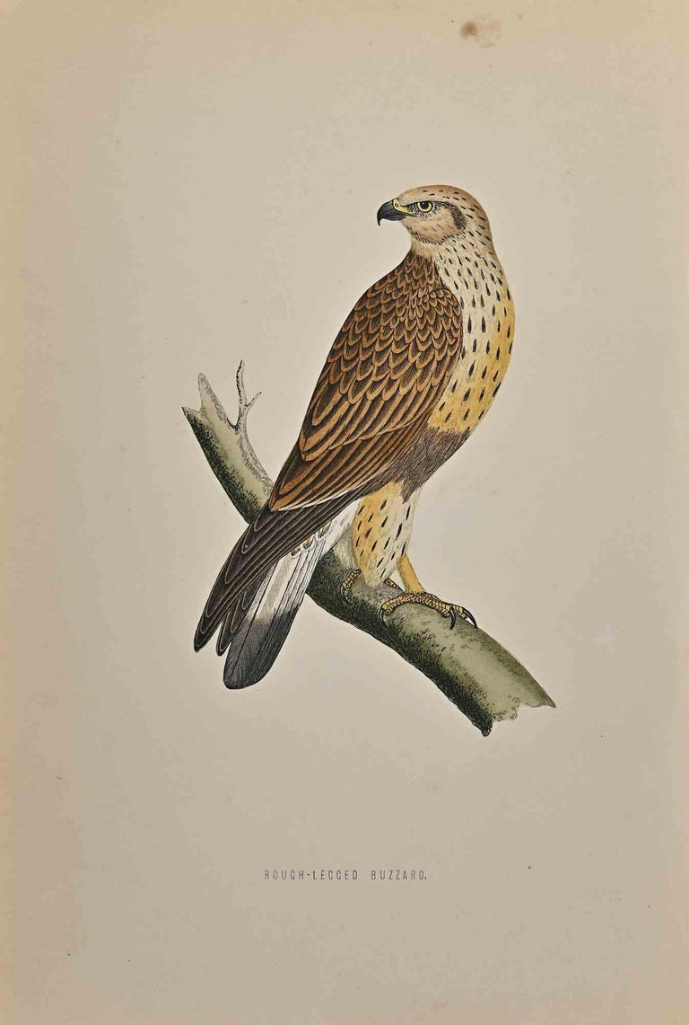 Alexander Francis Lydon - Rough-Legged Buzzard - Woodcut Print by ...