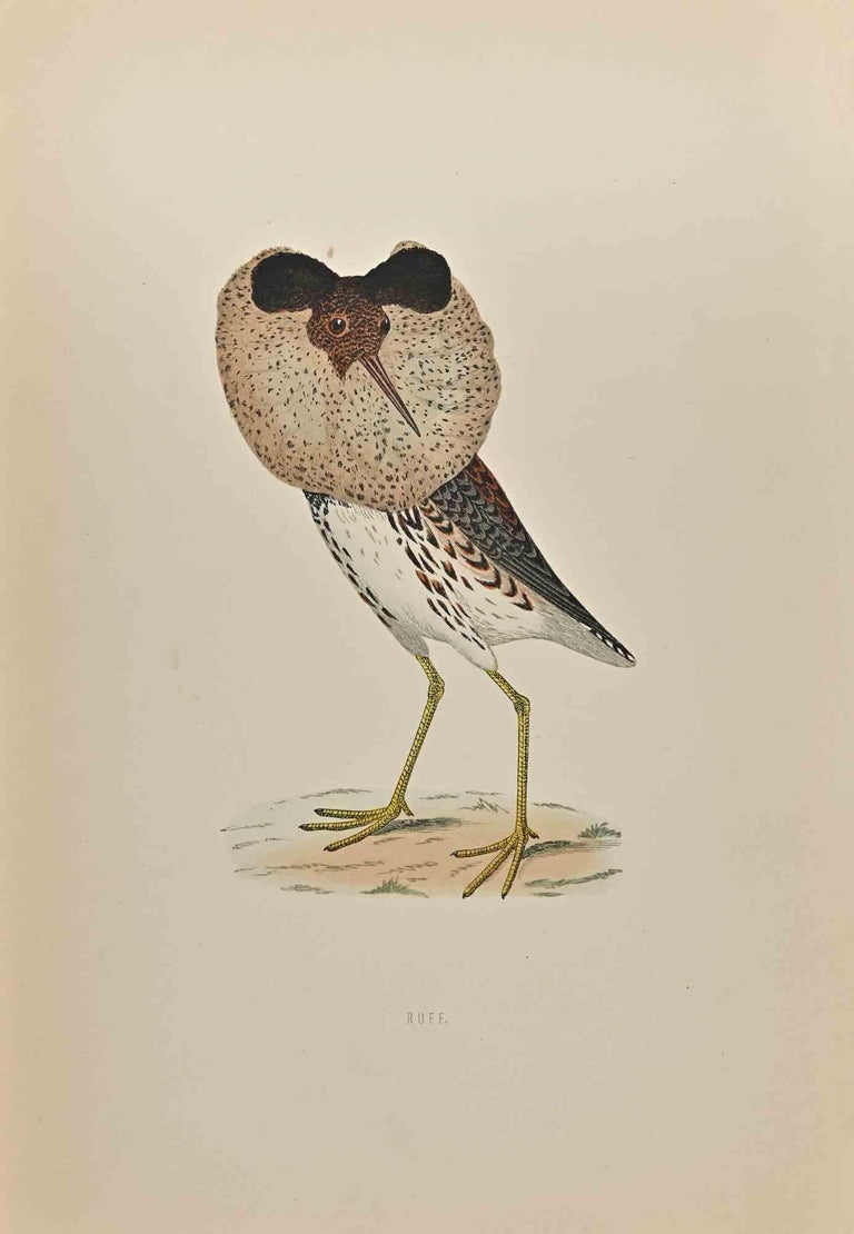 Alexander Francis Lydon - Ruff - Woodcut Print by Alexander Francis ...