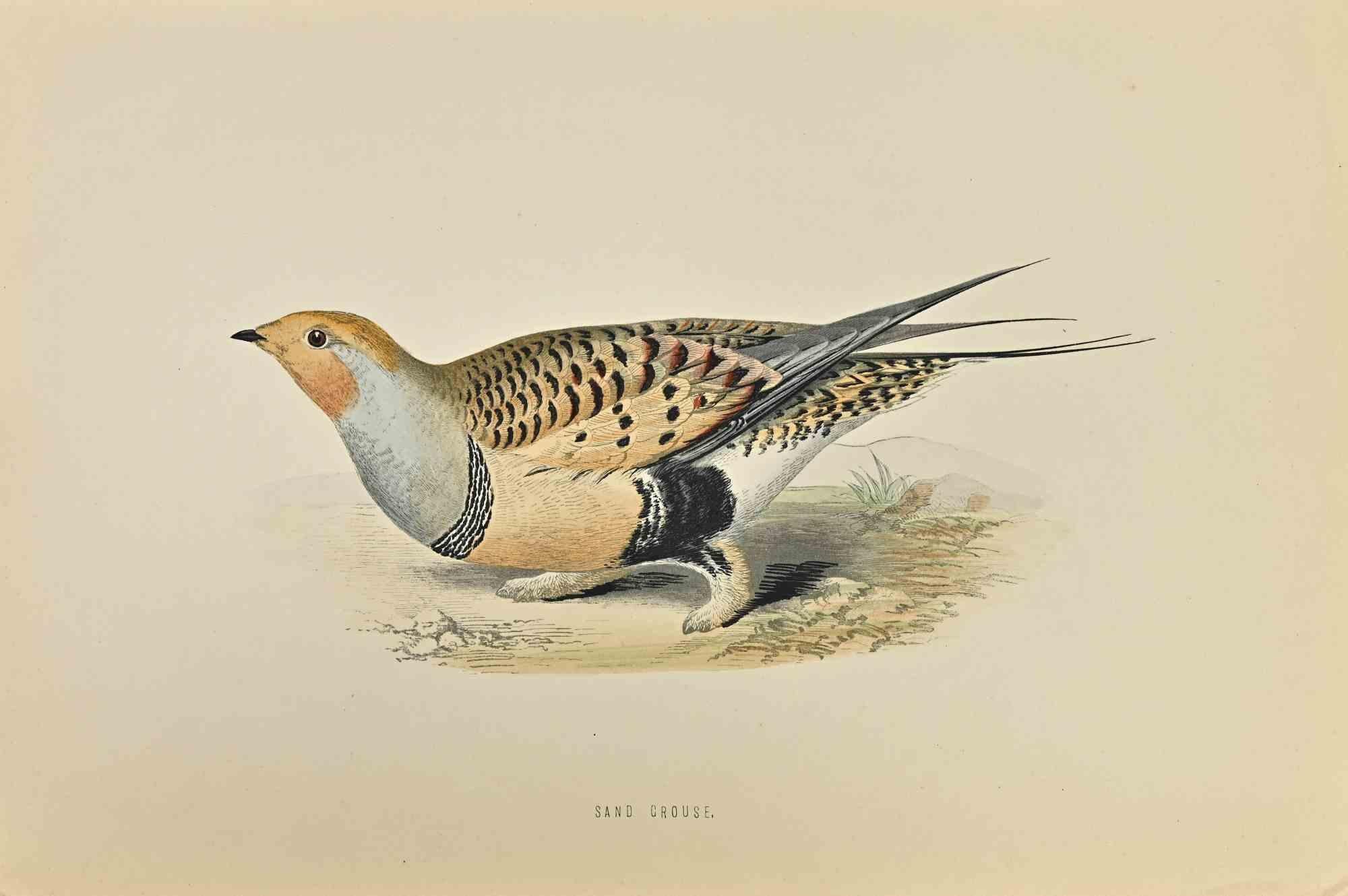 Alexander Francis Lydon - Black Grouse - Woodcut Print by Alexander ...