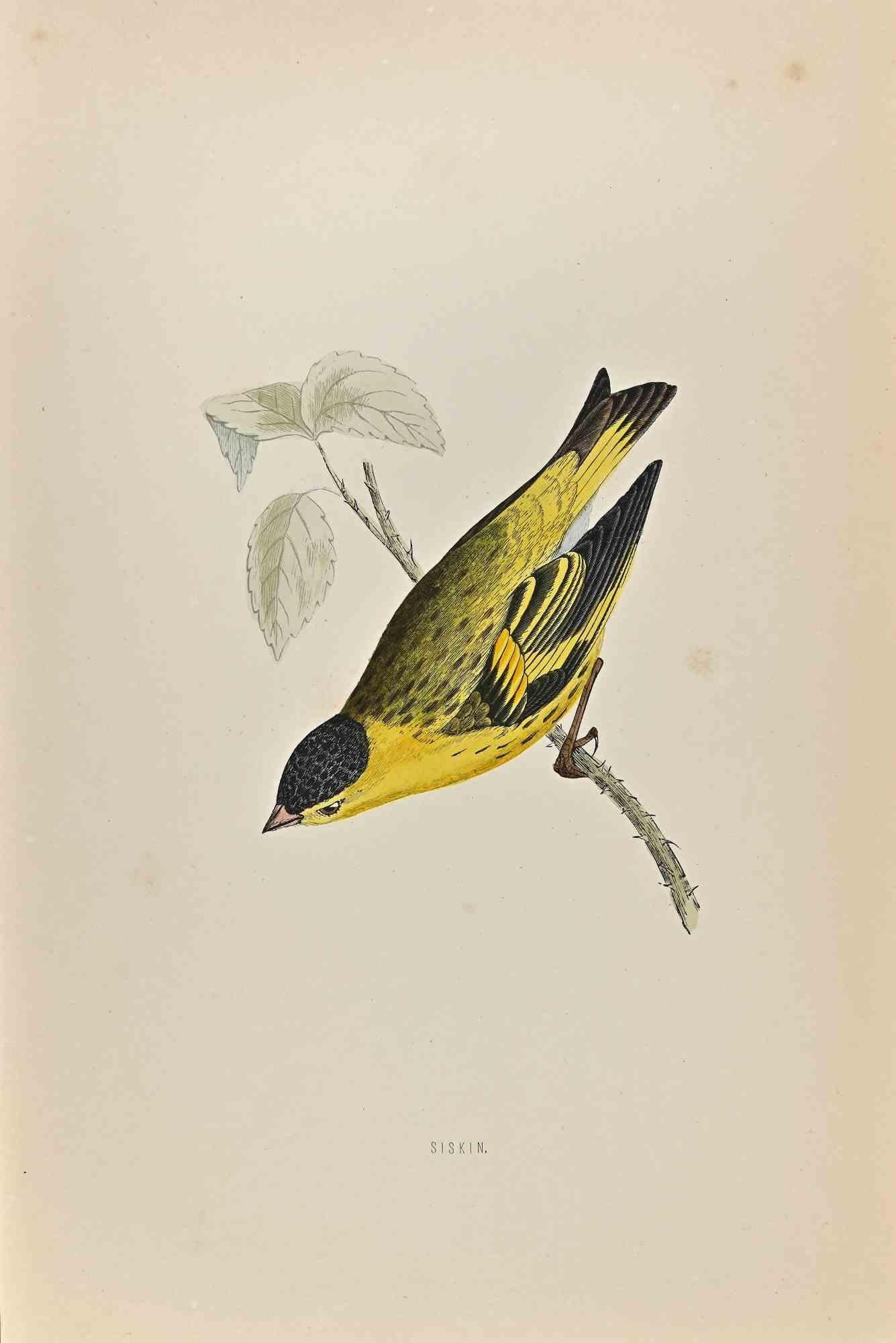 Alexander Francis Lydon - Yellow-Billed Cuckoo - Woodcut Print by ...