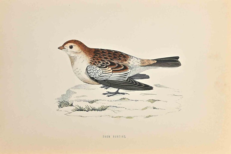 Alexander Francis Lydon - Snow Bunting - Woodcut Print by Alexander ...