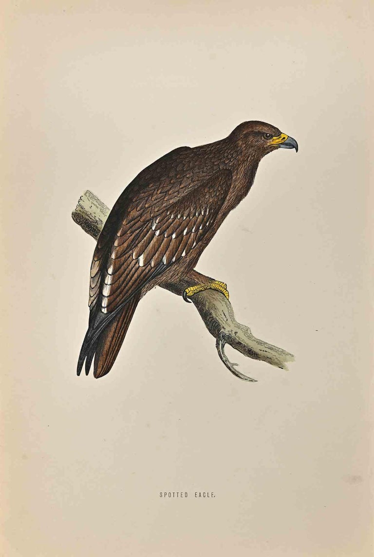 Alexander Francis Lydon - Spotted Eagle - Woodcut Print by Alexander ...