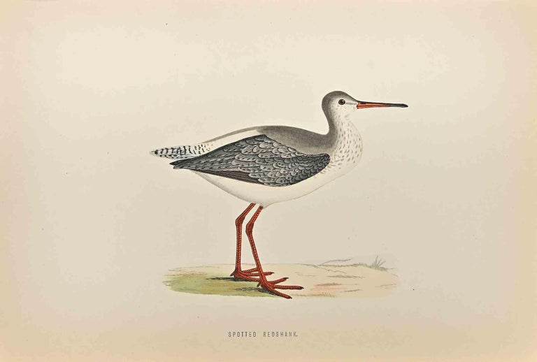 Alexander Francis Lydon - Spotted Redshank - Woodcut Print by Alexander ...