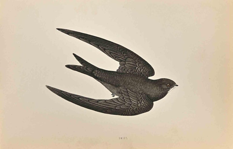Alexander Francis Lydon - Swift - Woodcut Print by Alexander Francis ...