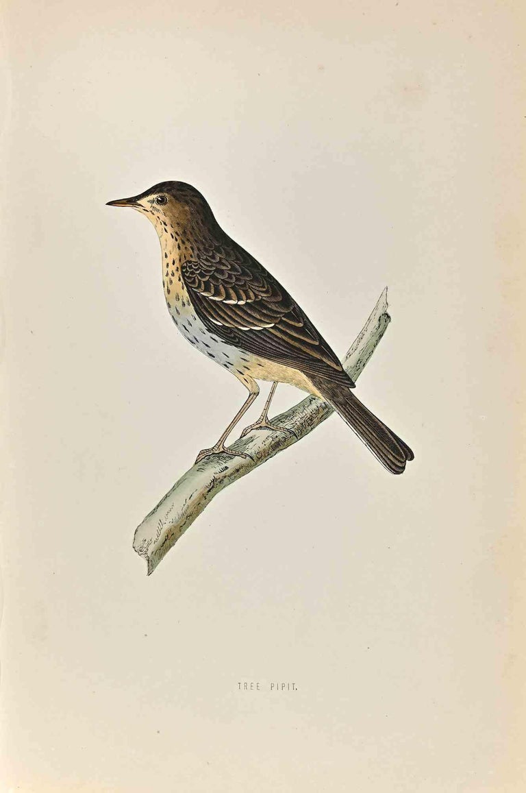 Alexander Francis Lydon - Tree Pipit - Woodcut Print by Alexander ...