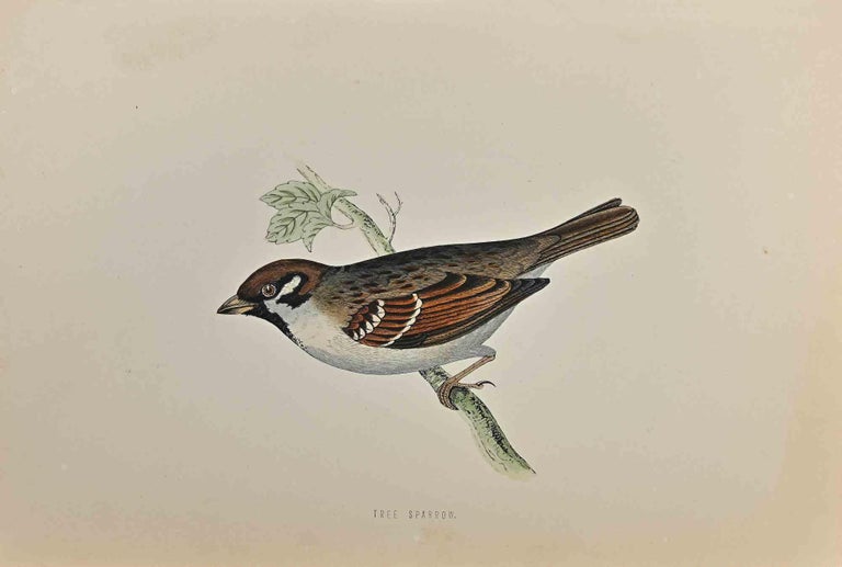 Alexander Francis Lydon - Tree Sparrow - Woodcut Print by Alexander ...