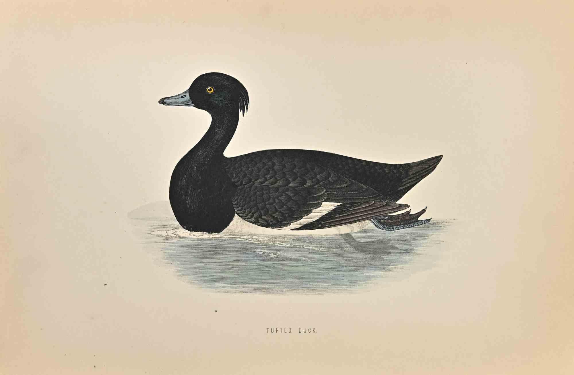 Alexander Francis Lydon - Short-Toed Lark - Woodcut Print by Alexander ...