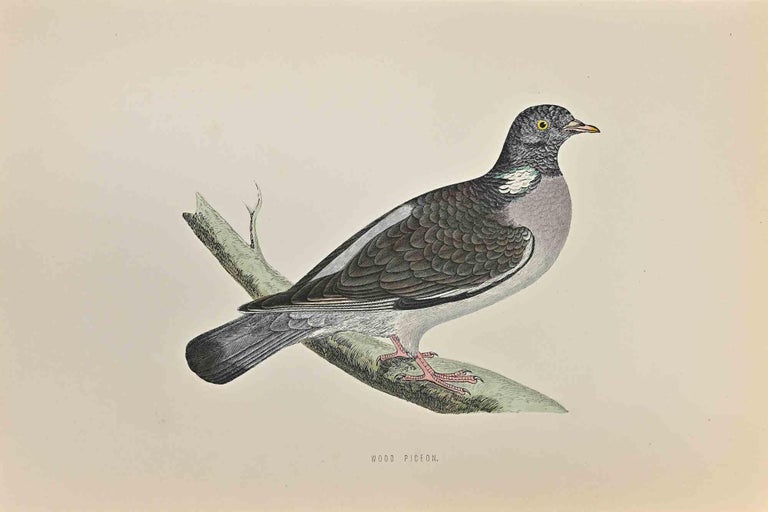 Alexander Francis Lydon - Wood Pigeon - Woodcut Print by Alexander ...