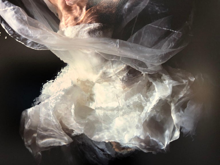 Alexander James Hamilton - Legat - Contemporary C Print For Sale at 1stDibs