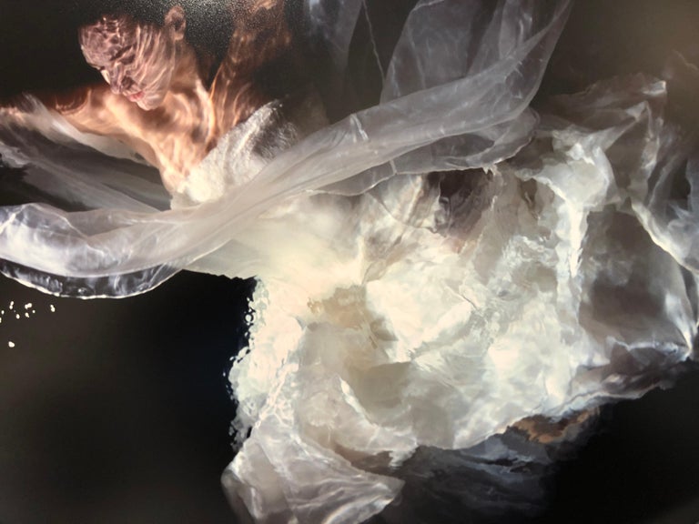 Alexander James Hamilton - Legat - Contemporary C Print For Sale at 1stDibs