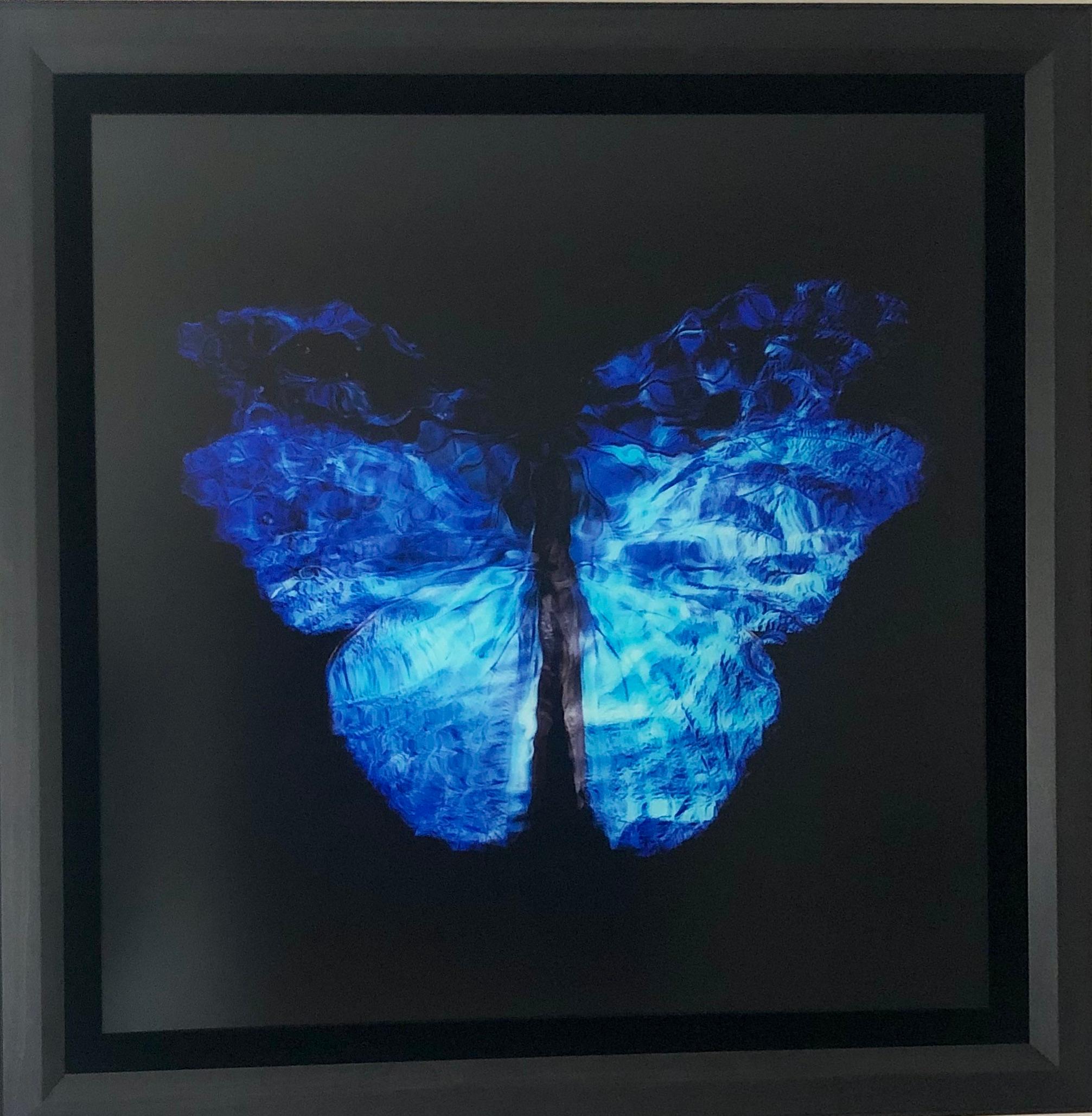 Alexander James Hamilton - Transparency of a Dream [0813-28] For Sale ...