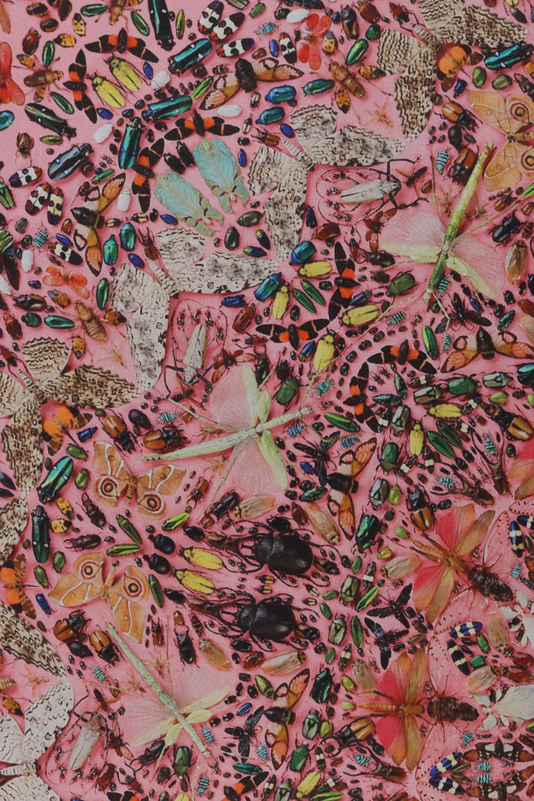 ALEXANDER McQUEEN A/W 2013 Damien Hirst "Judecca" Insect Kaleidoscope ...