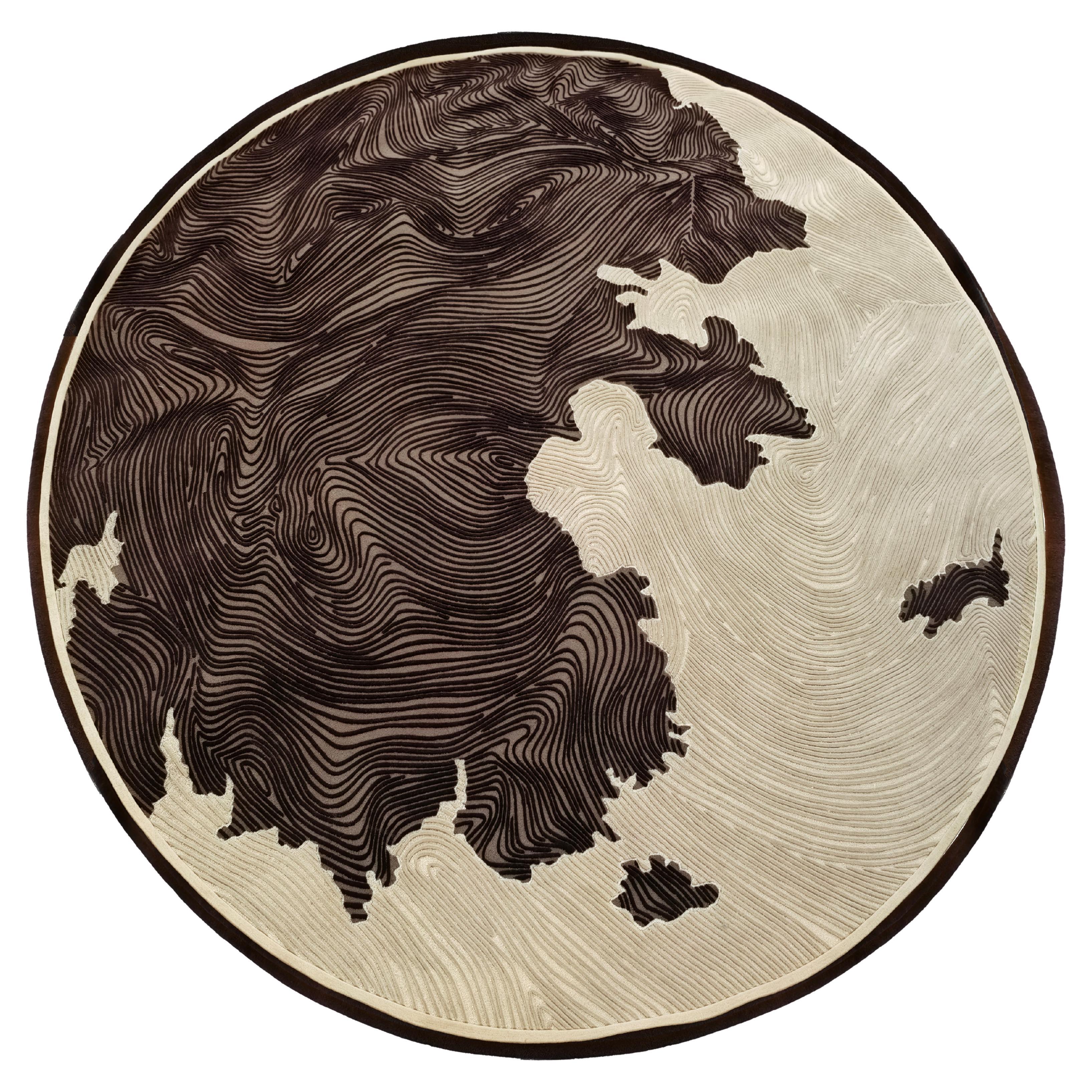 Western European Contemporary Rug New Tufted Wool Luxury Collection In ...