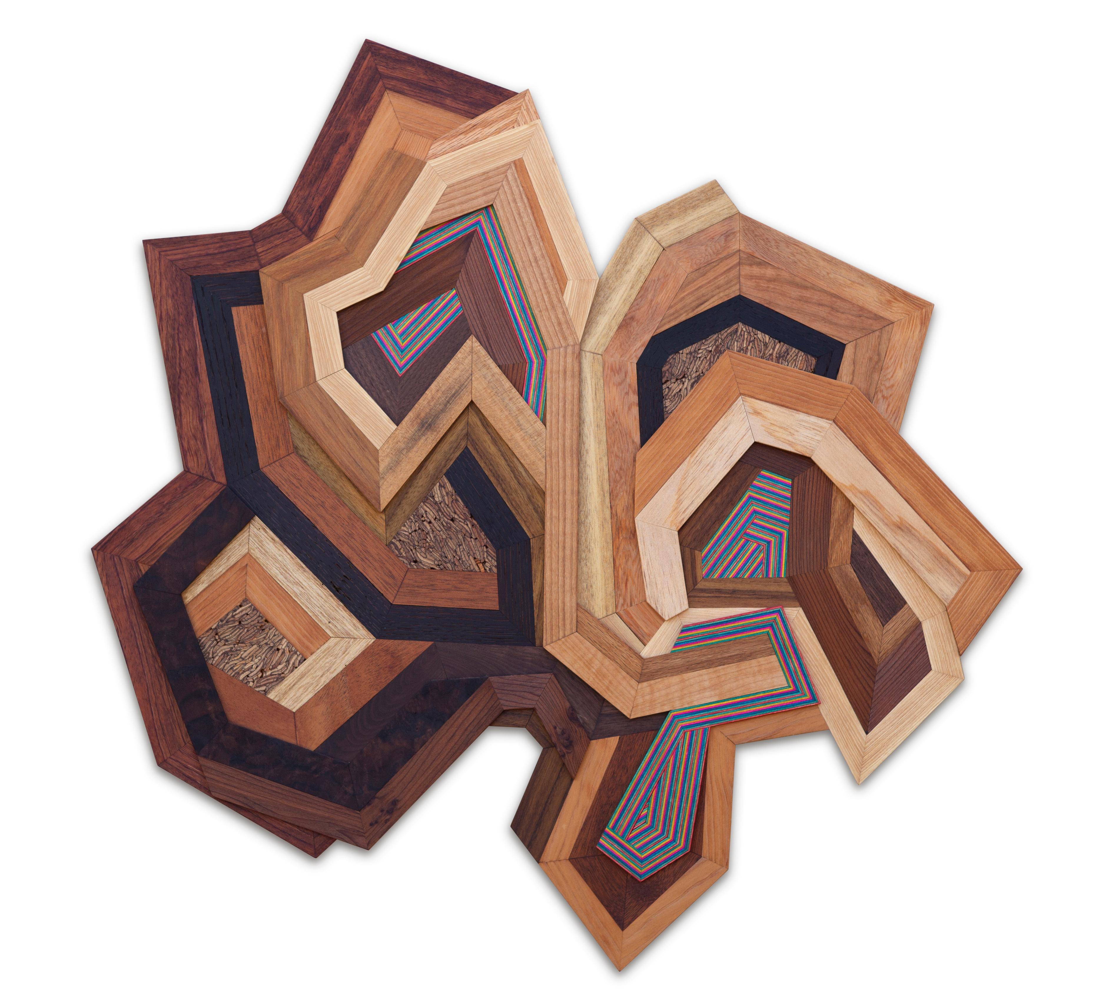 Alexandra Cicorschi - "To Notice a Rainbow"- authentic, sculptural wood ...