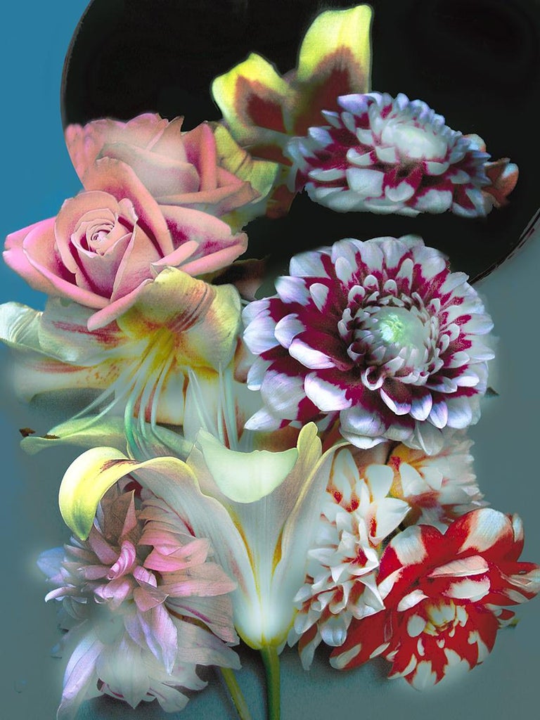 Alexandra Penney - Midnight's Flower For Sale at 1stDibs