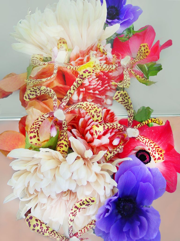 Alexandra Penney - Spotted Dancers For Sale at 1stDibs