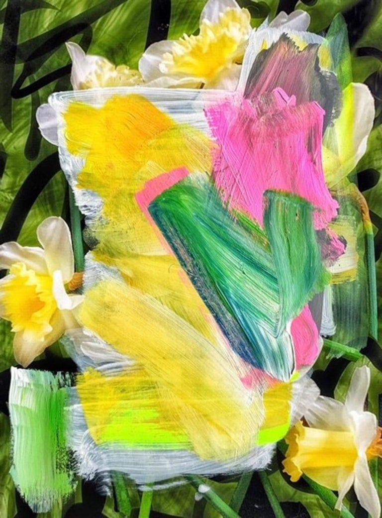 Alexandra Penney - Green Daffodils For Sale at 1stDibs