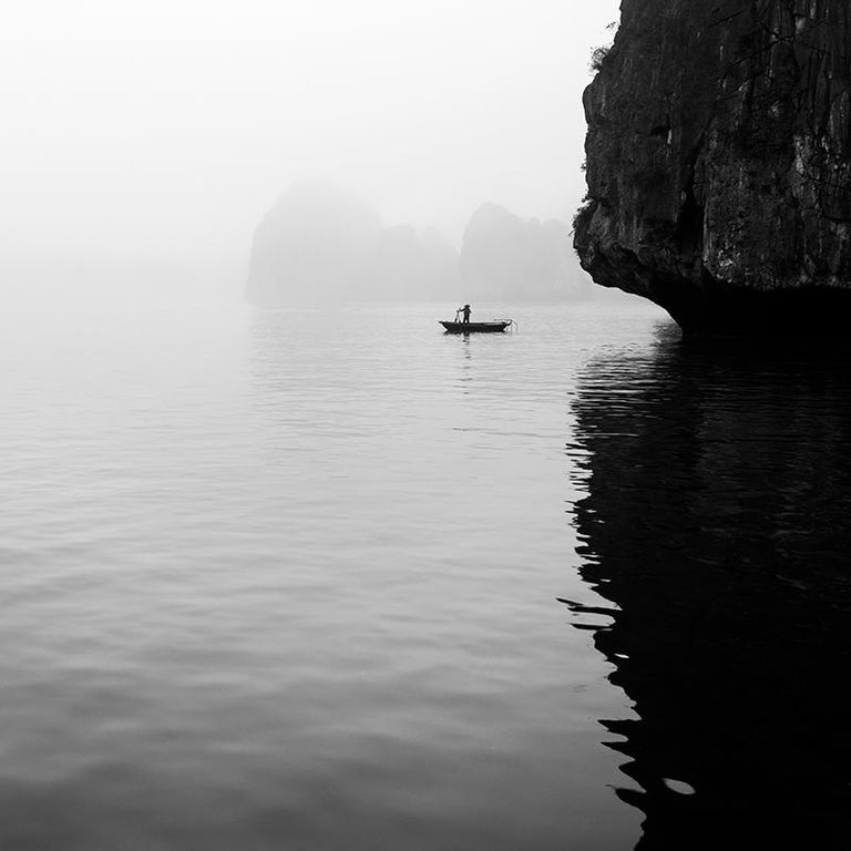 Alexandre Manuel - Symbiosis Study. Limited edition landscape ...