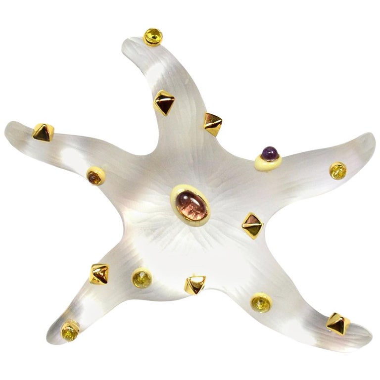 Alexis Bittar Starfish Lucite Brooch/Pin W/ Tourmaline and Citrine For ...