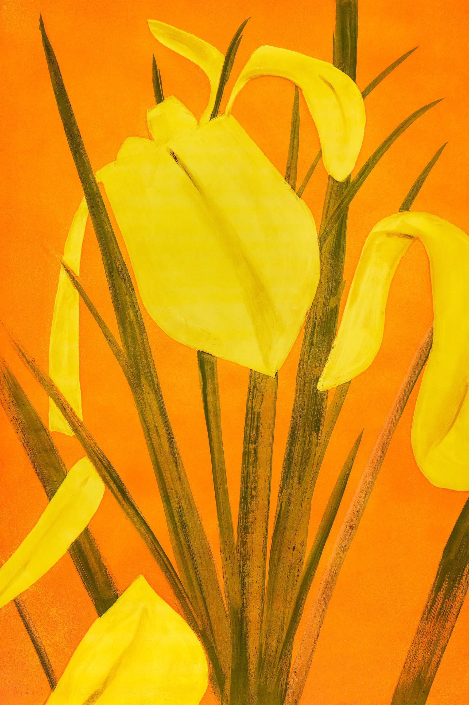 Alex Katz - Late July I at 1stDibs