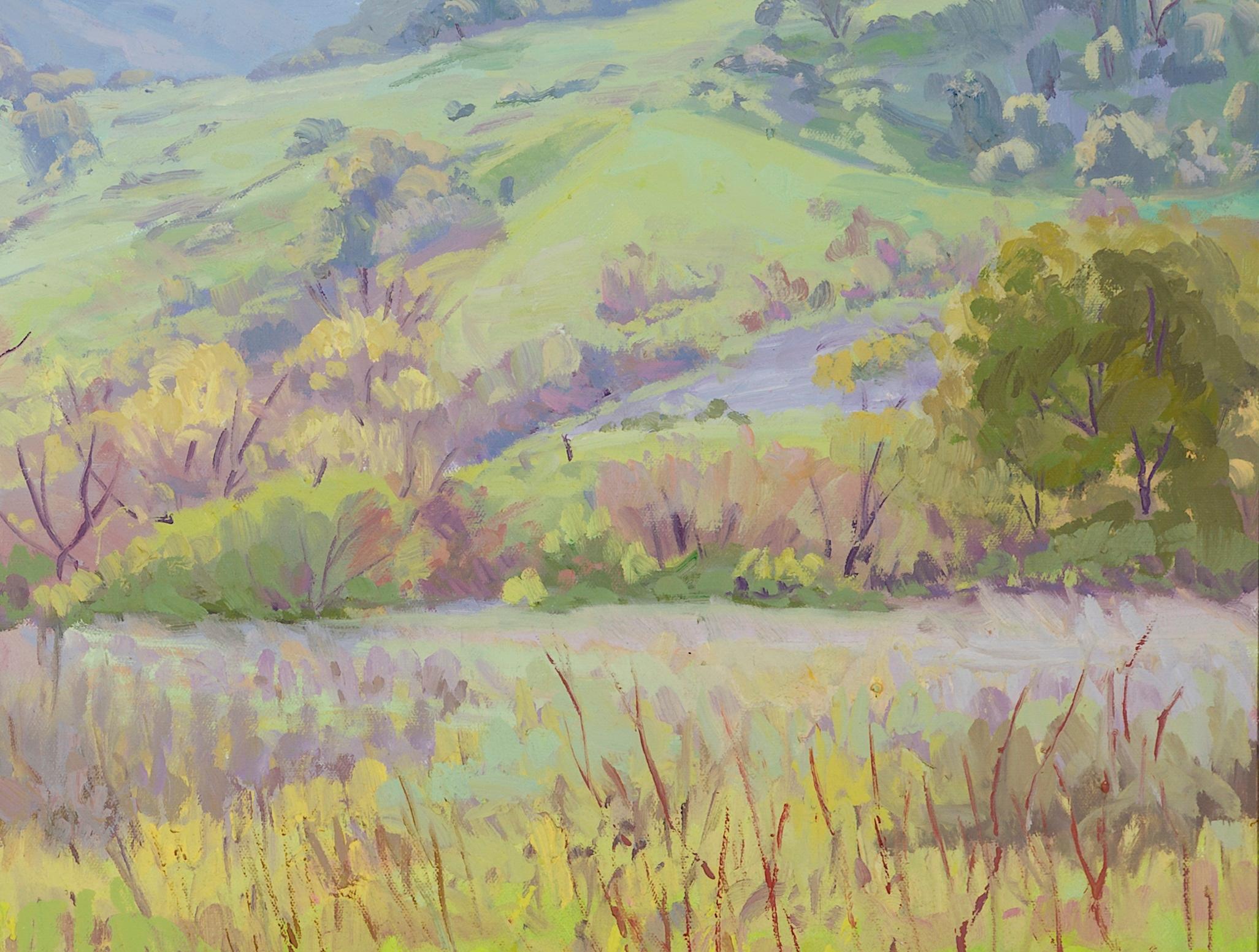 Alfonso Colocho - Malibu Mountain, Oil on Canvas , American For Sale at ...